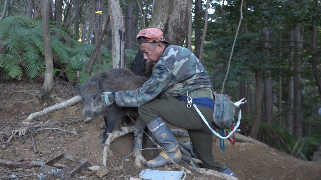 TI ComNet | DOCUMENTARYJapan TV Market